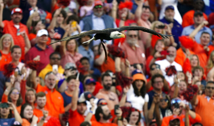 LSU rallies for 4th straight win, 21-17 over Auburn - Alabama Daily News