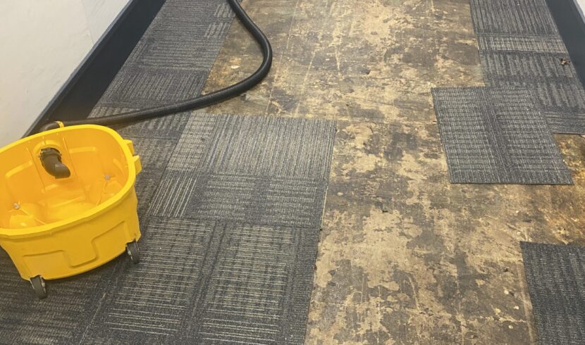 State House sees flooding after pipes freeze and burst - Alabama Daily News