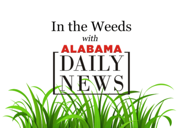 News - Page 2 of 1349 - Alabama Daily News
