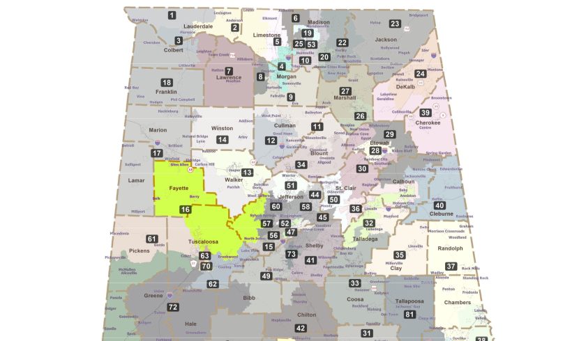 Special election set for Alabama House District 63 - Alabama Daily News