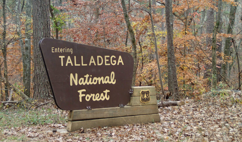 Tuberville, Rogers introduce bill to expand Talladega National Forest ...
