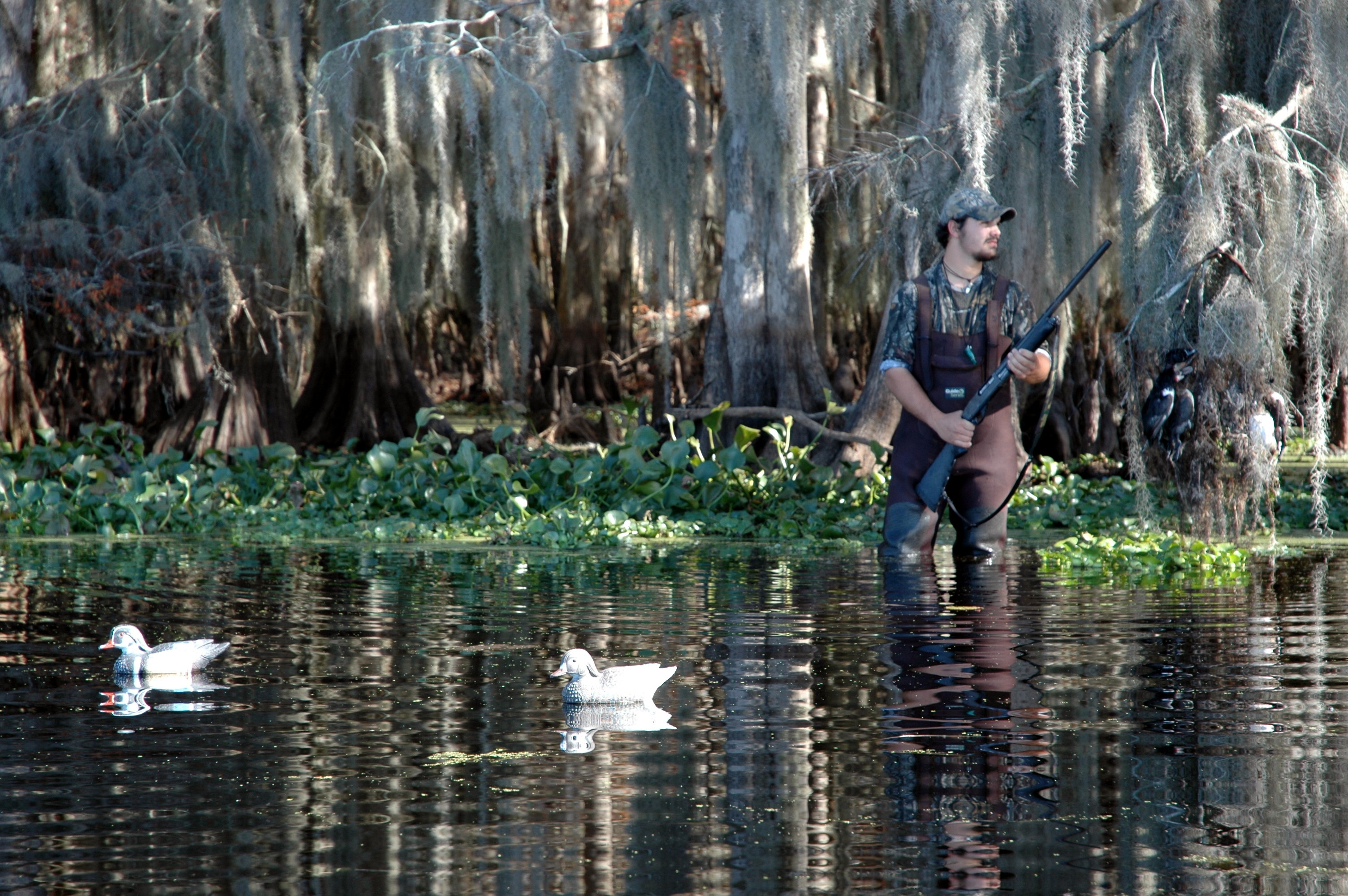 Heading Outdoors! Wood ducks can provide incredible, if brief, action ...