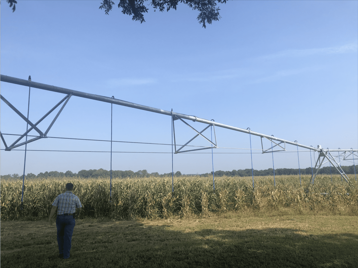 Alabama farmers shift food processing due to coronavirus; Food waste ...