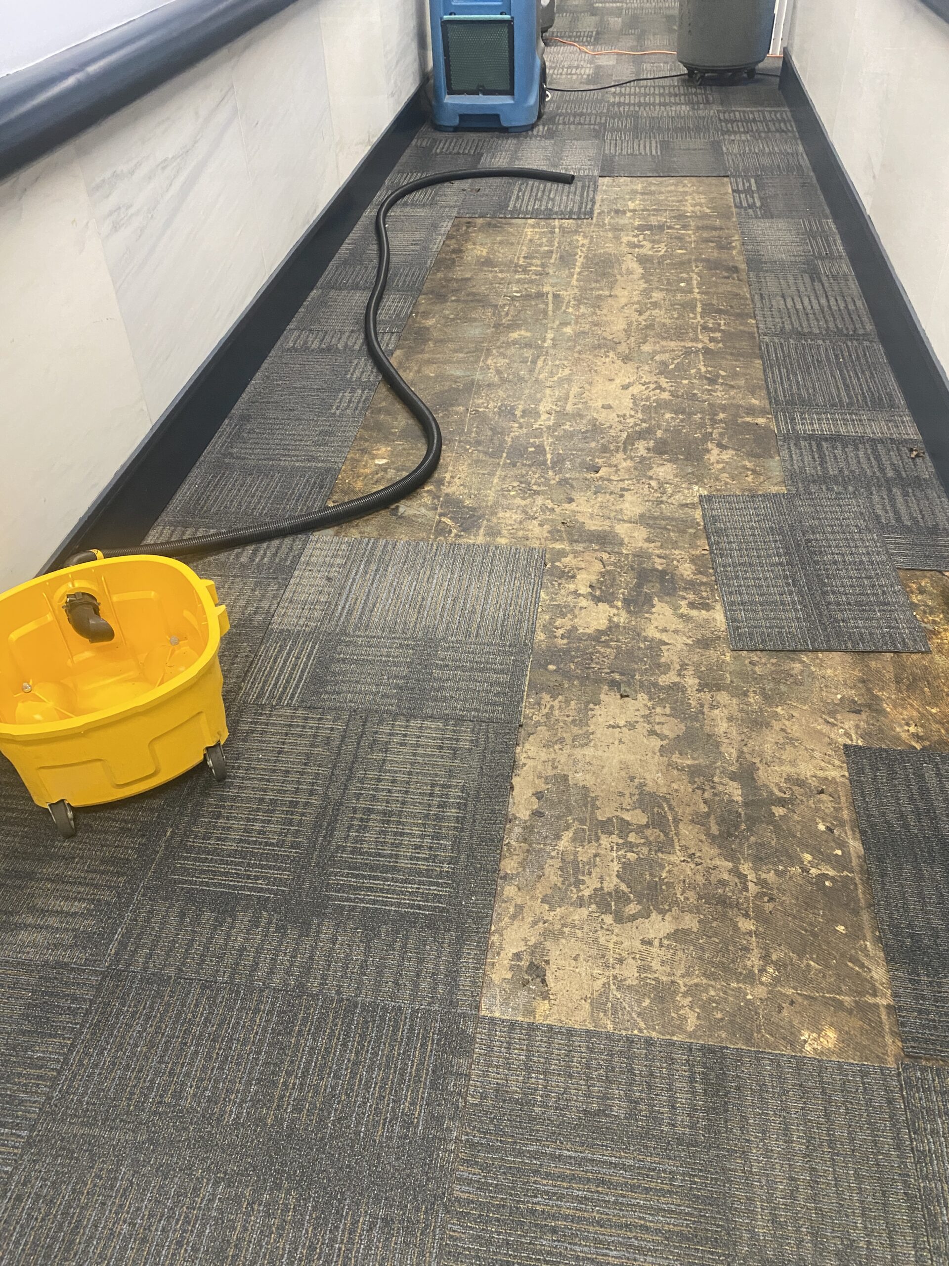State House sees flooding after pipes freeze and burst - Alabama Daily News