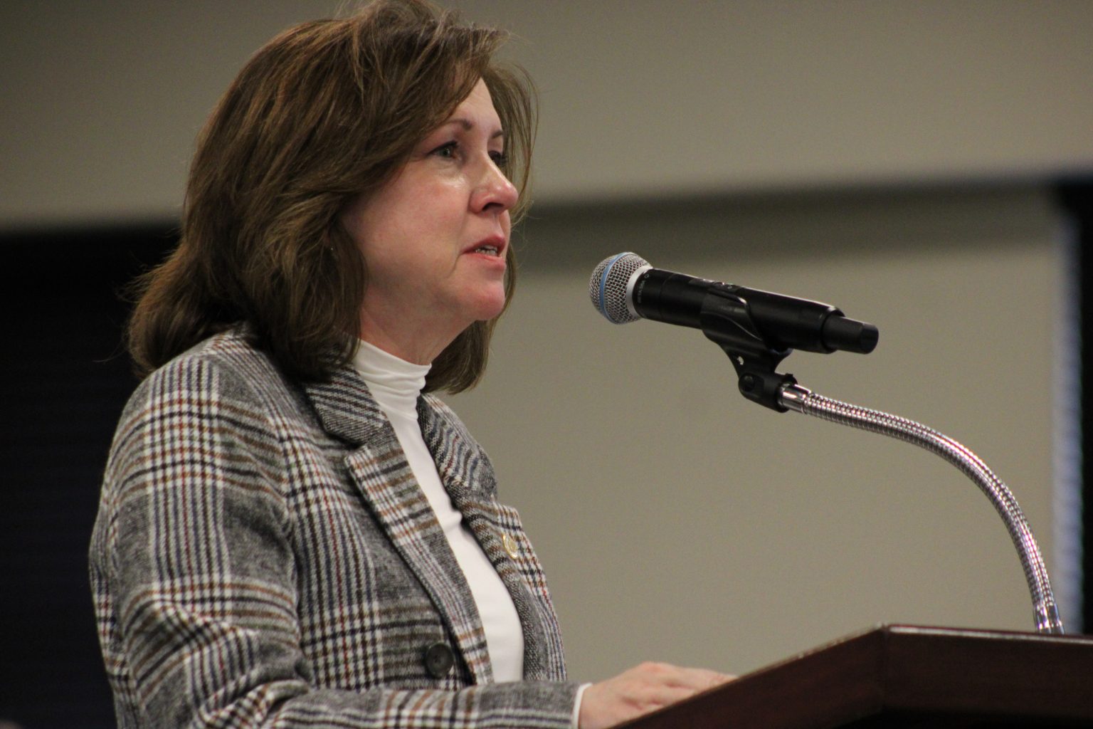 Veterans, Mental Health agency dust up revealed in leaked ethics ...
