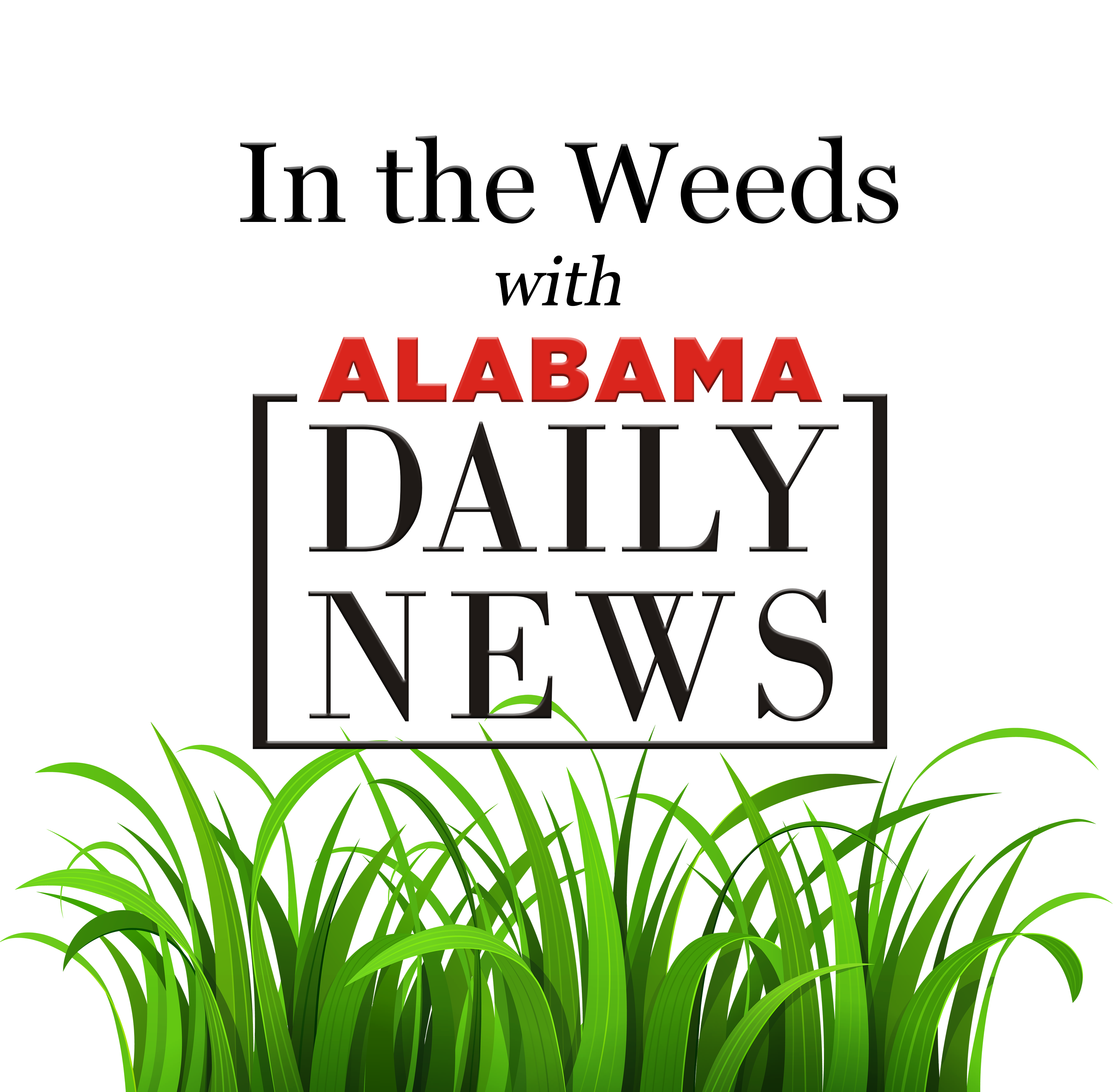 In The Weeds with State Finance Director Kelly Butler - Alabama Daily News