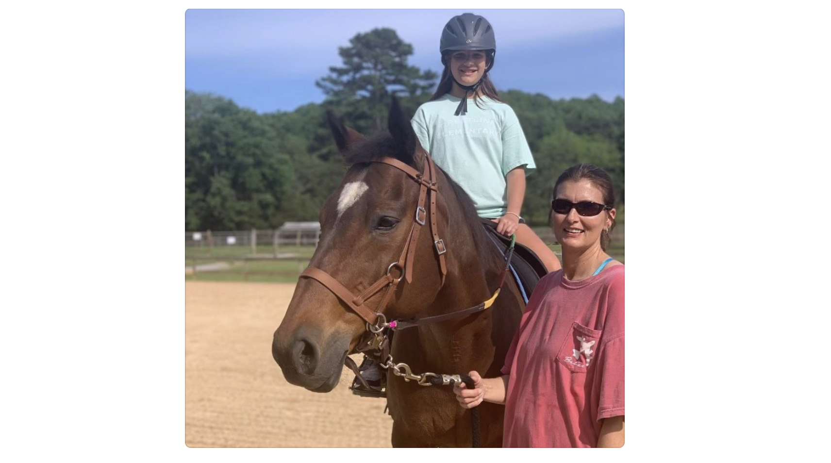 Alabama introduces new apprenticeable occupation: Therapeutic riding ...