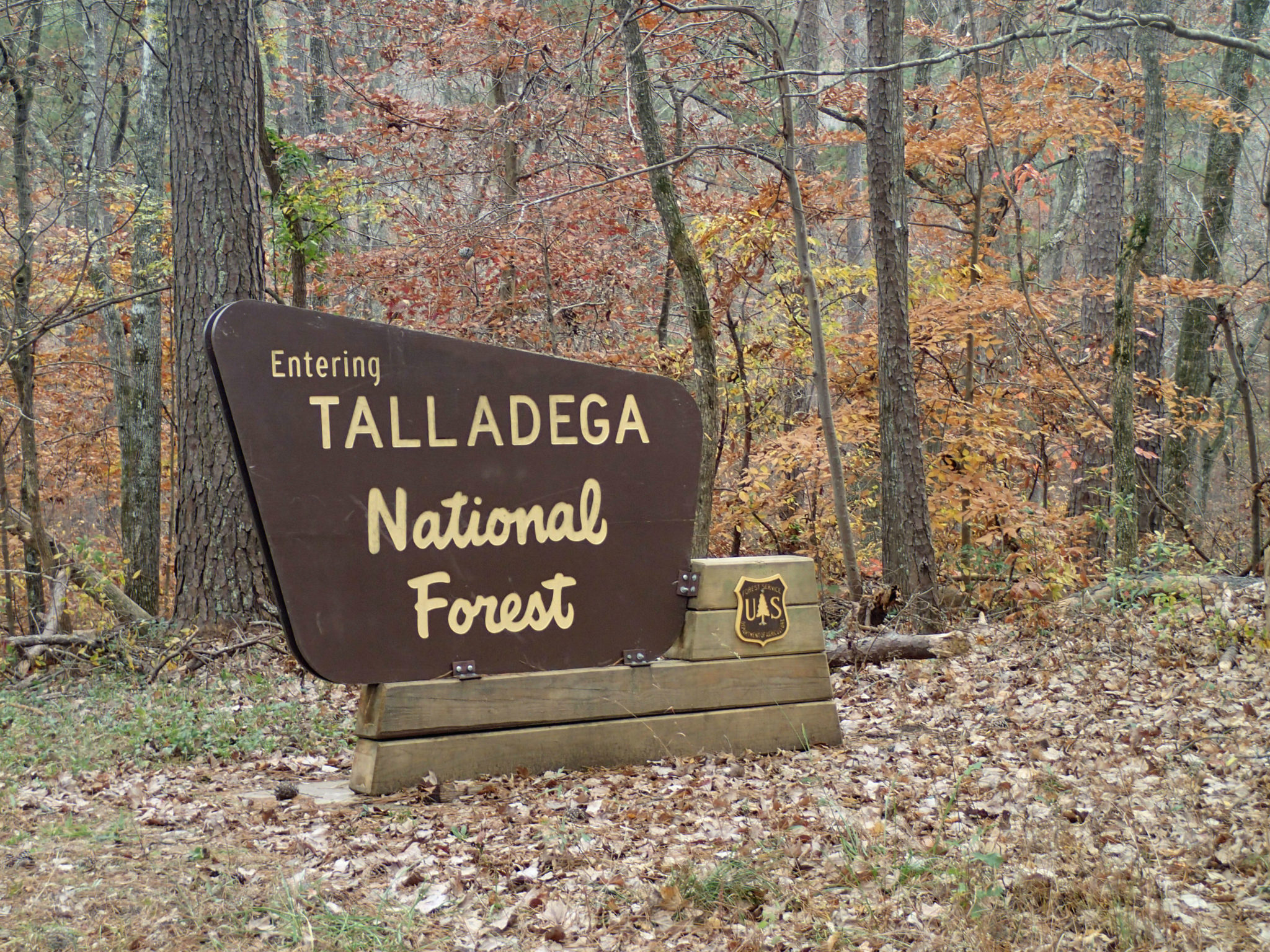 Tuberville, Rogers introduce bill to expand Talladega National Forest ...